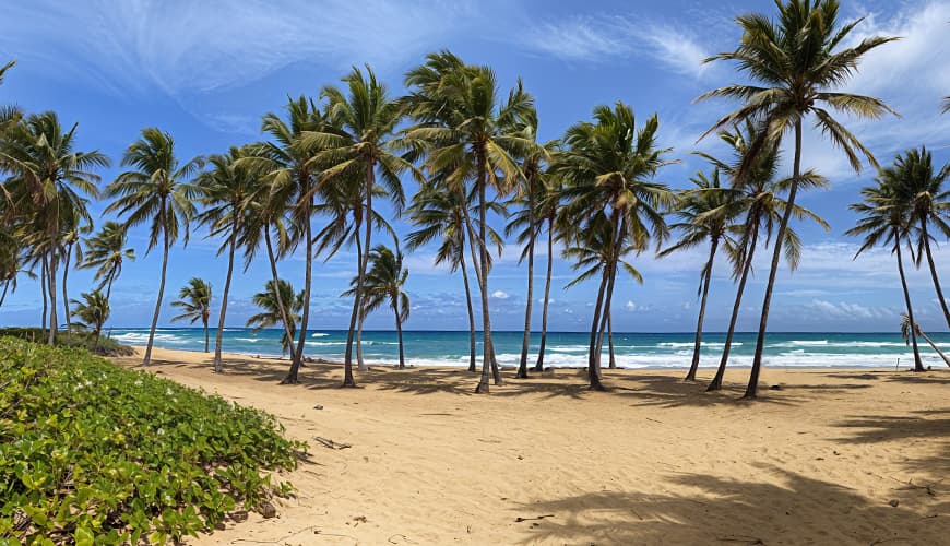 Las Mejores 7 Playas Públicas de Punta Cana - Monito Tours